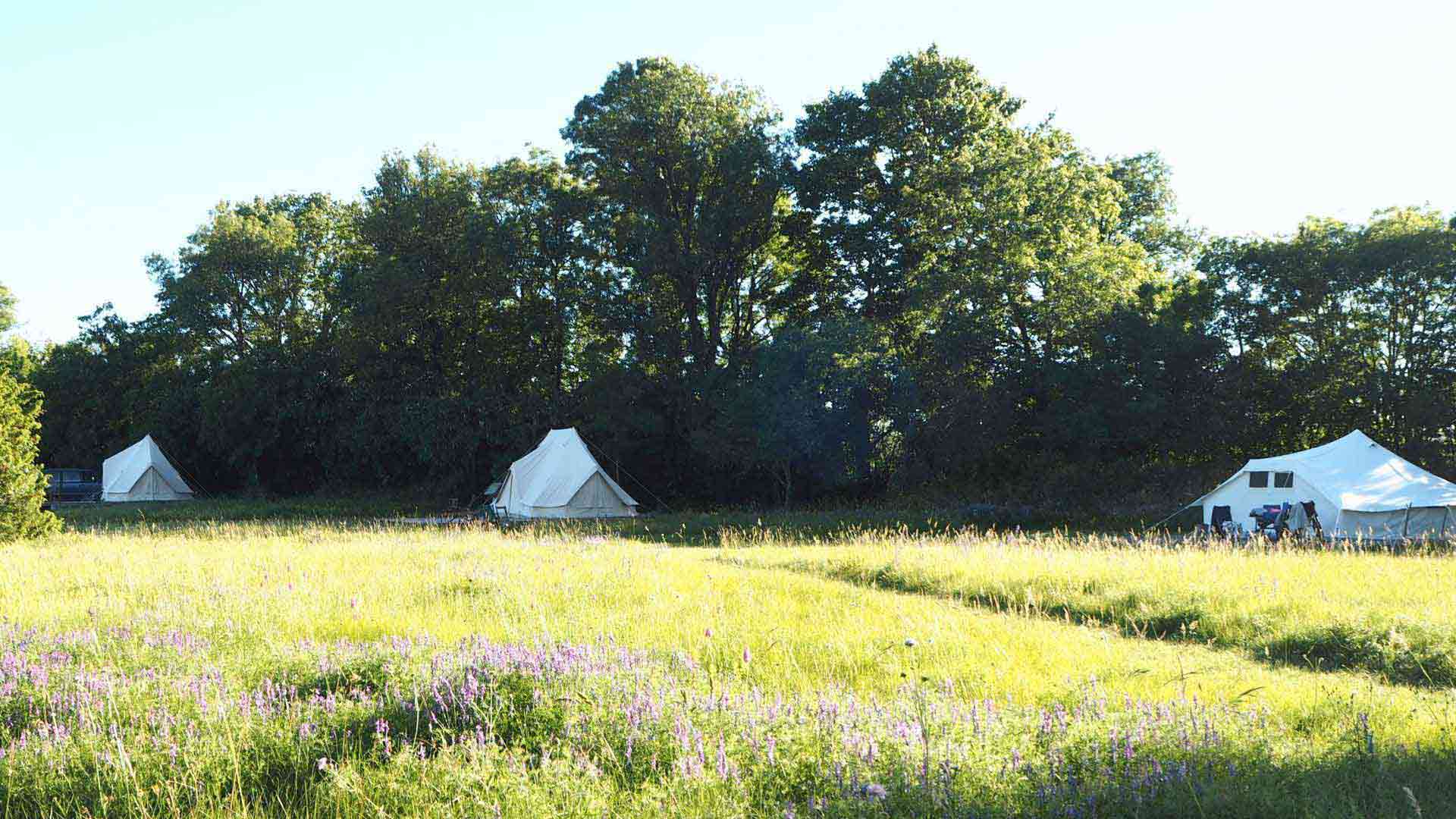 Camping pitches Cevennes National Park
